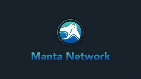 Guide to Manta Network's testnet