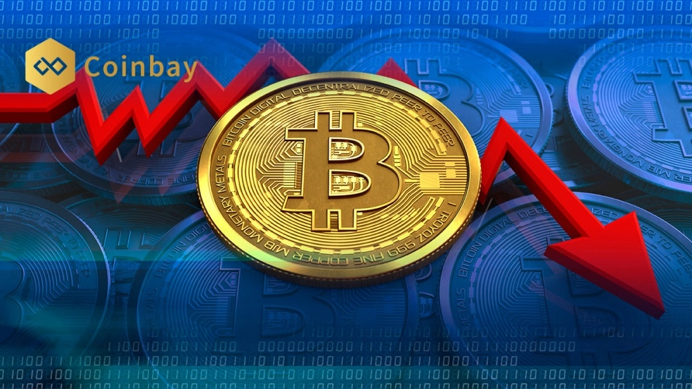 Bitcoin plummets below $25,000 Bitcoin plummets below $25,000