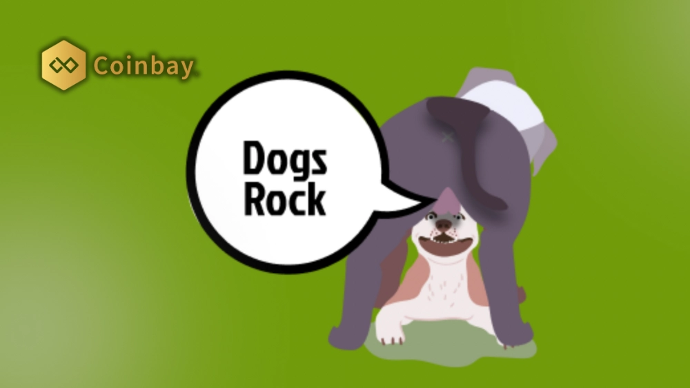 What is DOGSROCK? Overview of the Dogs Rock project