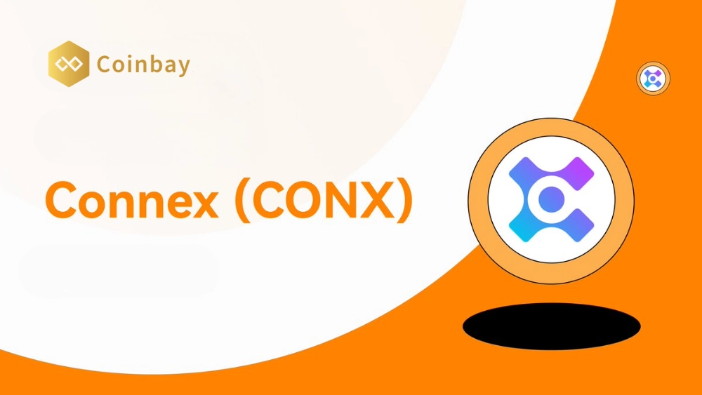 What Is Conx Overview Of The Connex Project