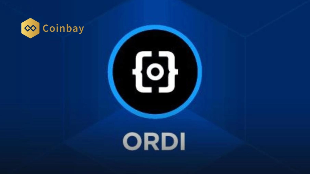 What is ORDI? Overview of the Ordinals project