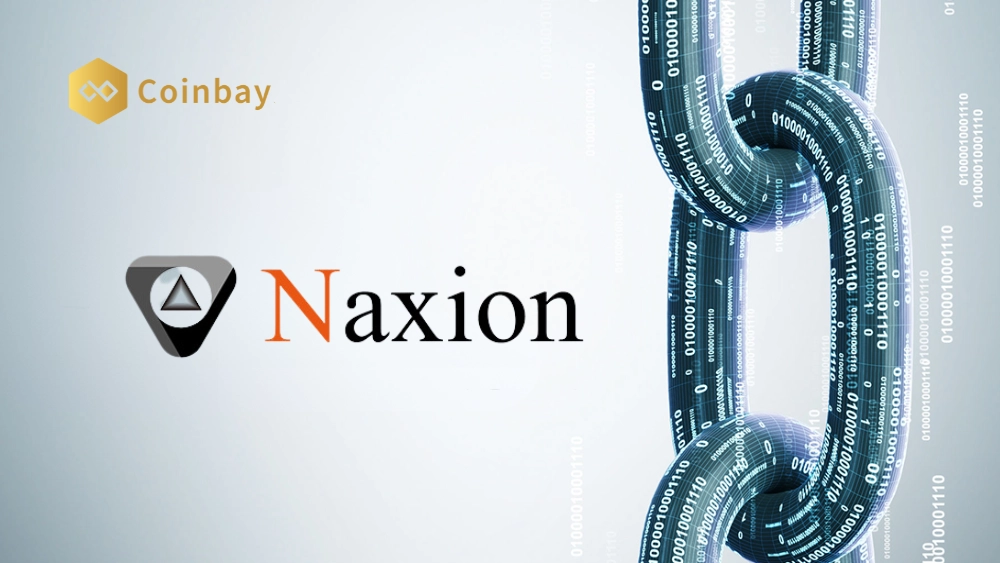 What is NXN? Overview of the Naxion project