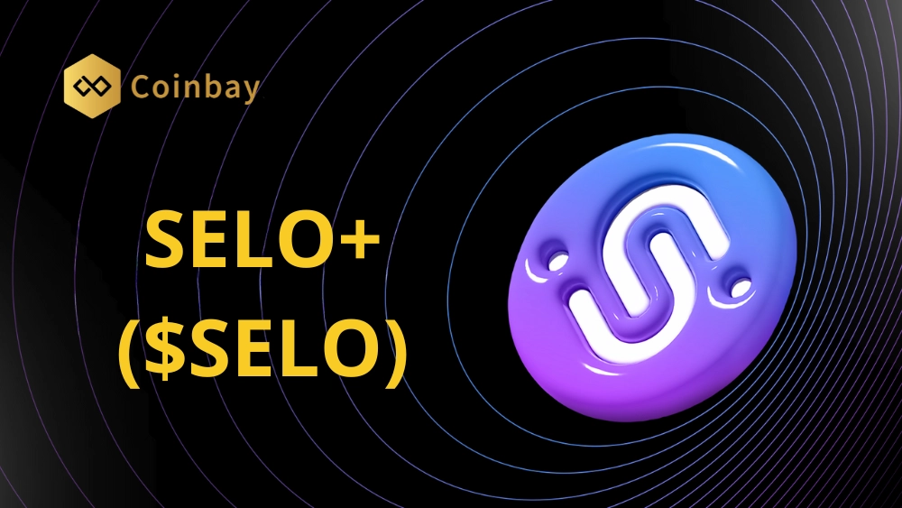 What is SELO? Overview of the SELO+ project