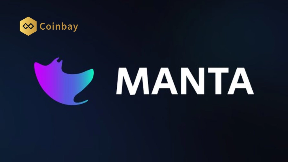 What is MNTA? Overview of the MantaDAO project