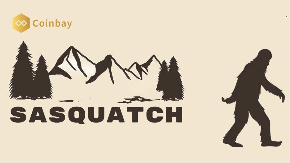 What is SQUATCH? Details about the Sasquatch project