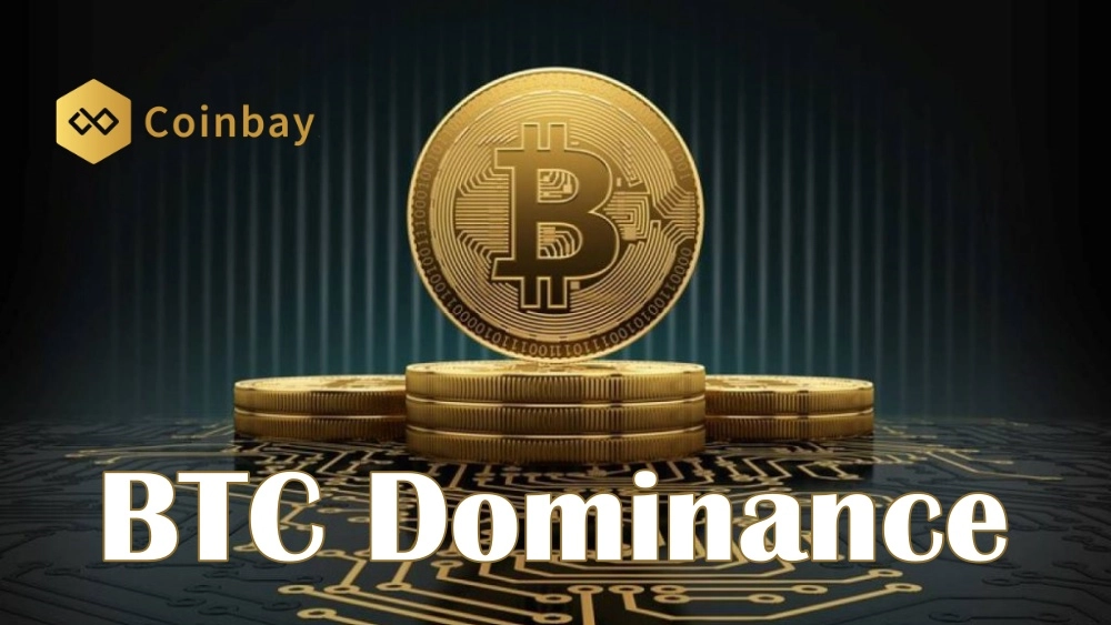Bitcoin Dominance là gì và vai trò của BTC.D trong đầu tư Bitcoin Dominance là gì và vai trò của BTC.D trong đầu tư