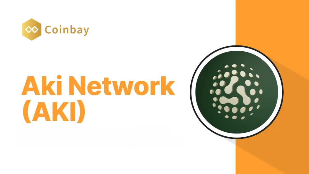 What is AKI token? Overview of the Aki Network project