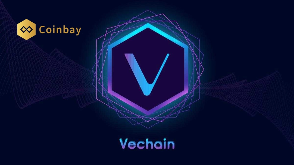 What is VTHO token? VeChain supply chain project