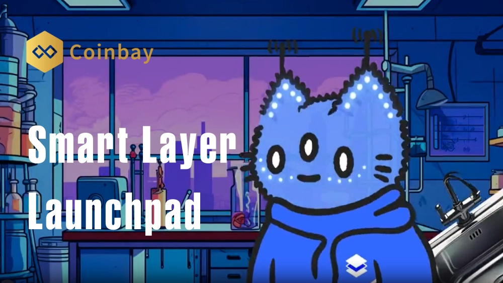 Guide to register for Smart Layer Launchpad