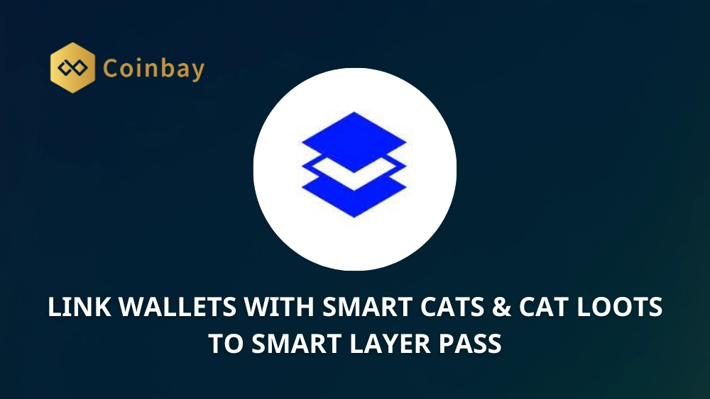 Hướng dẫn liên kết ví với Smart Cats và Cat Loots