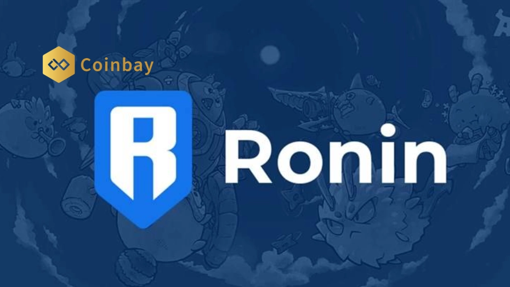 What is Ronin? How to allocate RON tokens