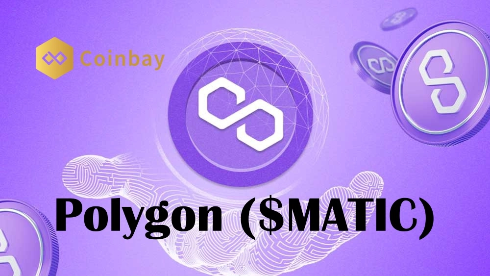 What is the MATIC token? Potential of Polygon's zkEVM layer 2 application