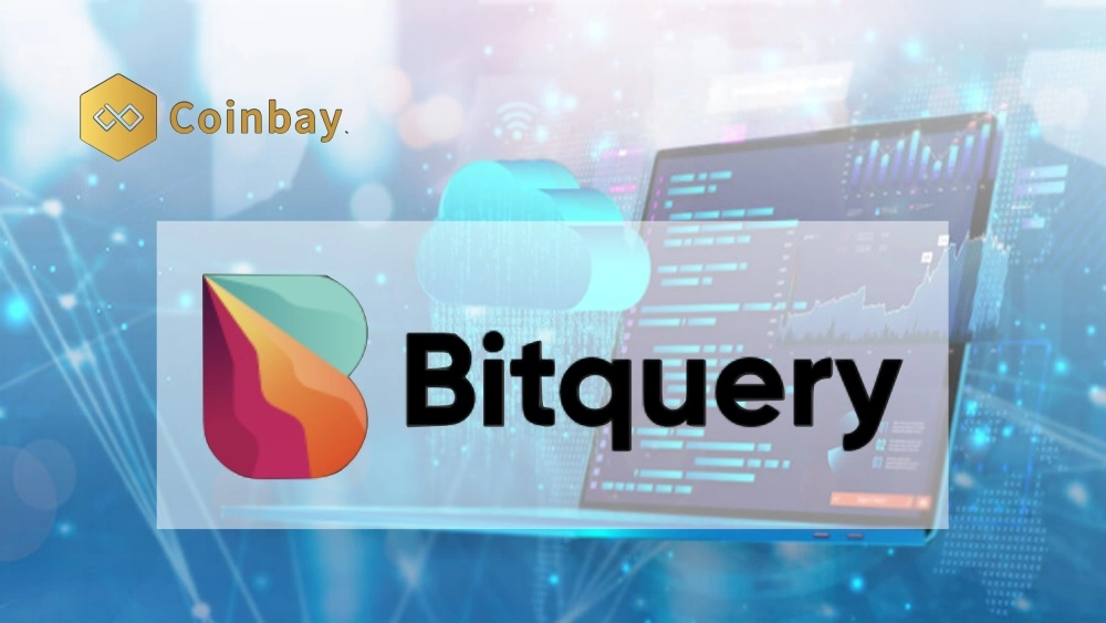 What Is Bitquery A Blockchain Data Analytics Platform