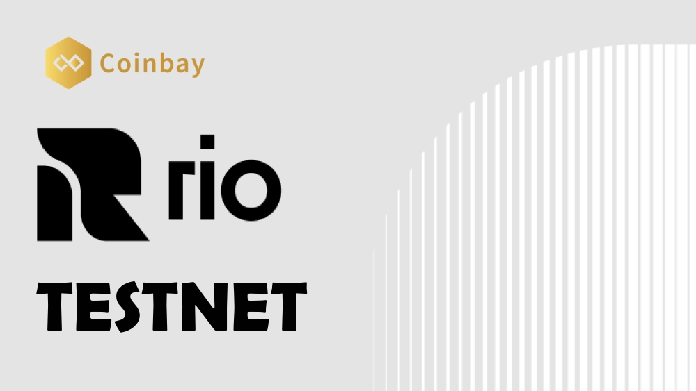 Guide to participating in Rio Network testnet