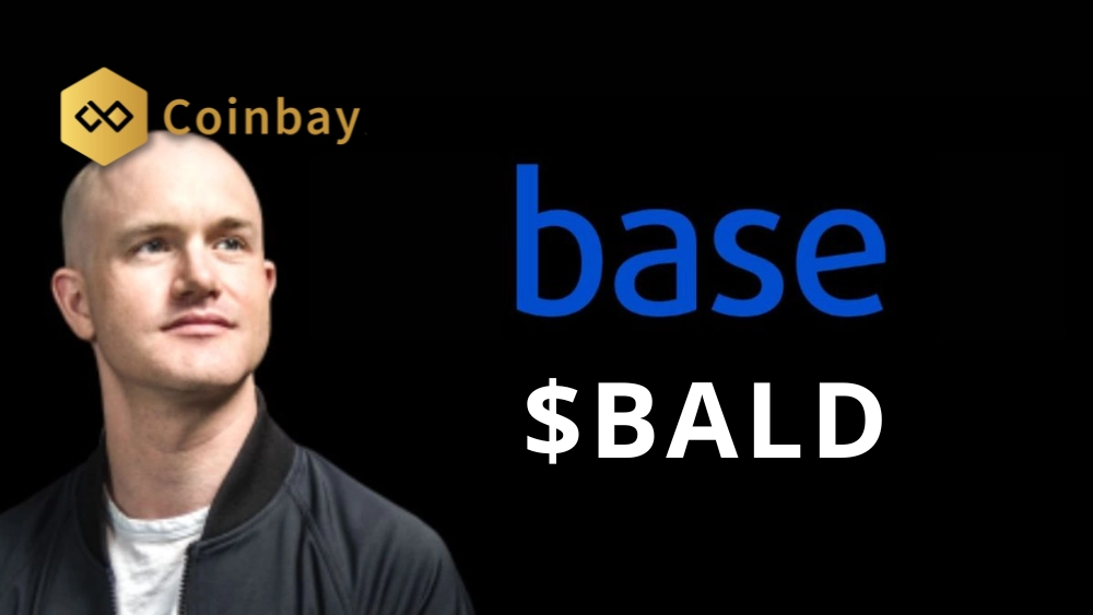 BALD token là gì? Sự sụp đổ của BALD trên Base
