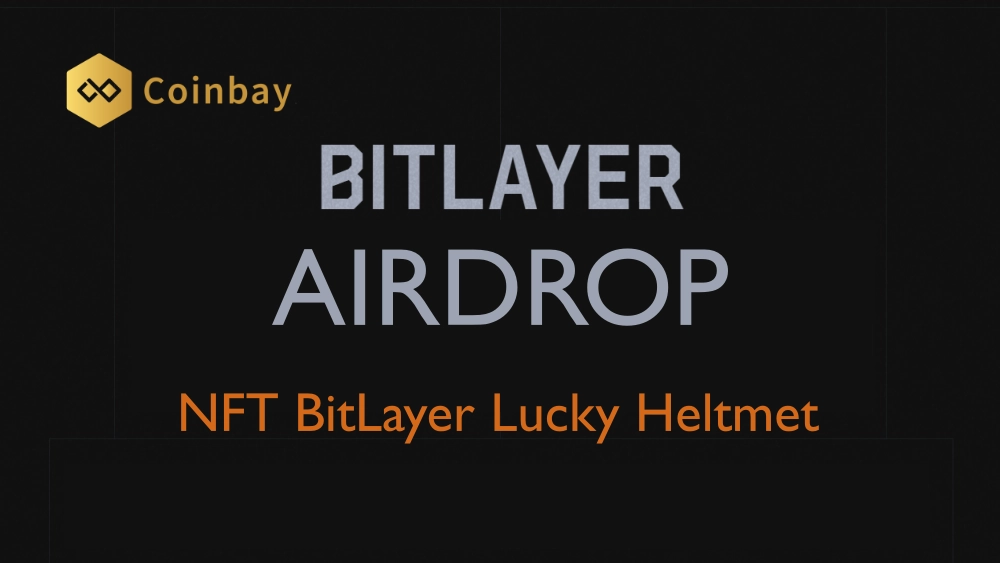 Guide to hunting Bitlayer airdrop