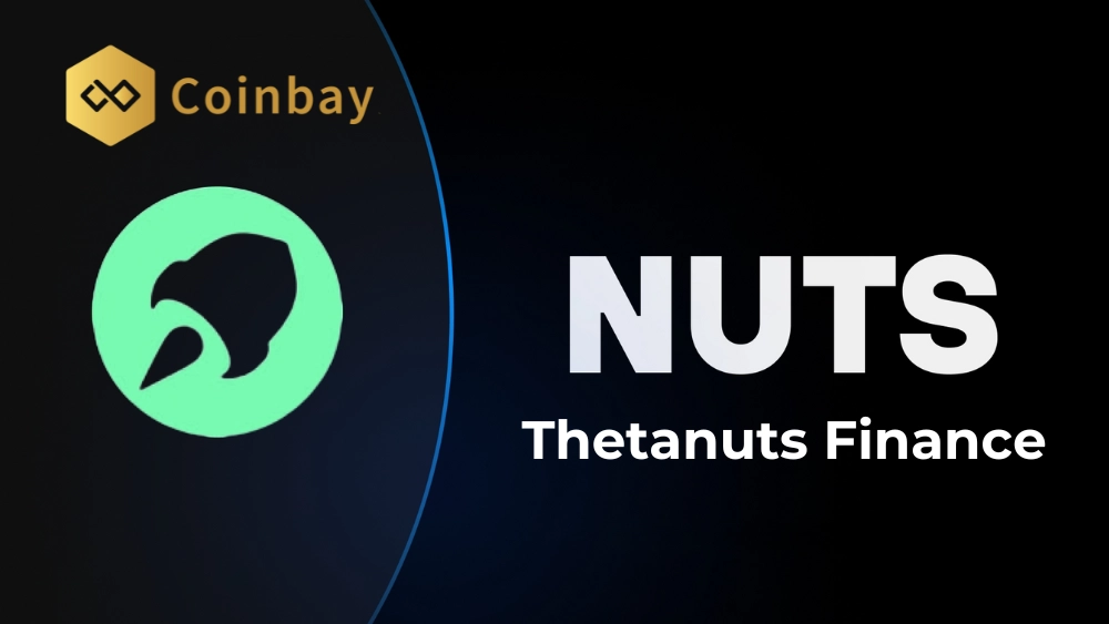 What is NUTS token? Thetanuts Finance option protocol