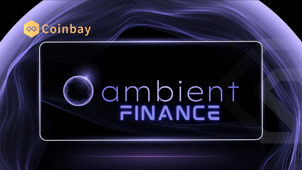 What is Ambient? Overview of Ambient Finance