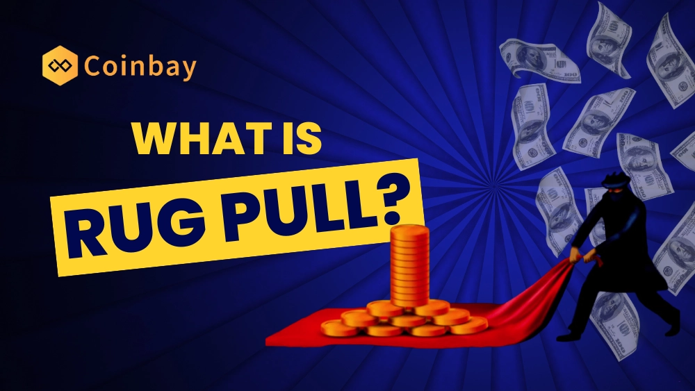 What is Rug Pull? How to identify Rug Pull