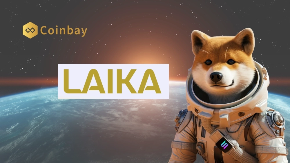 What is Laika? Overview of the Laika project