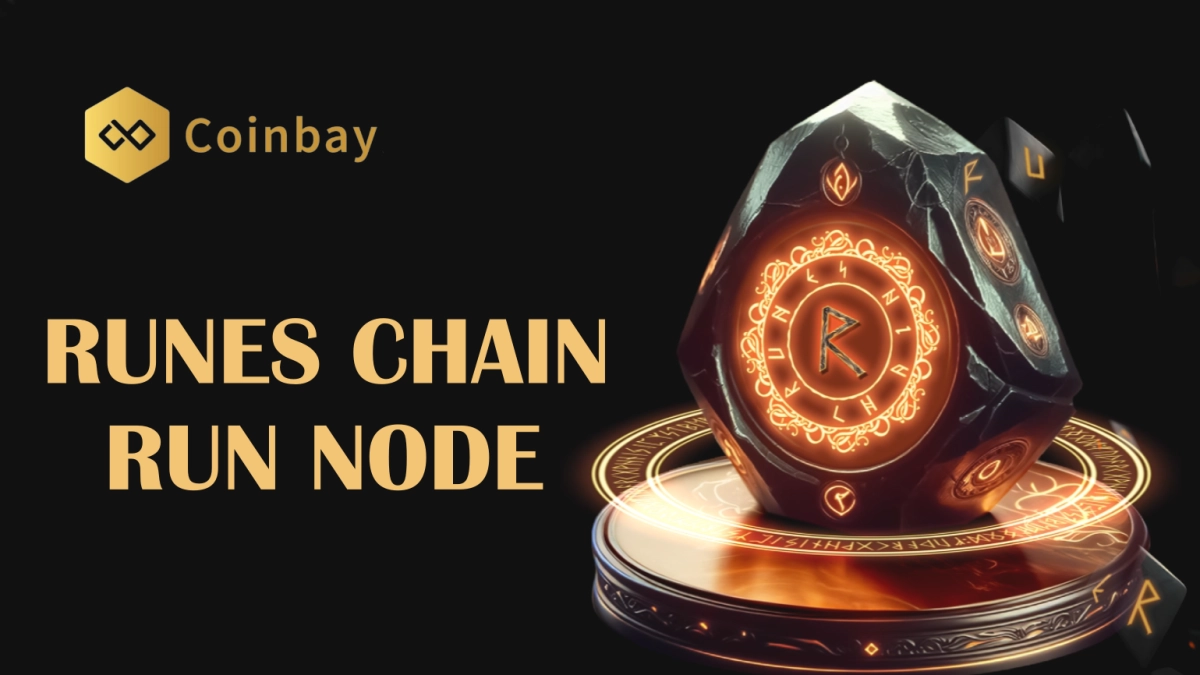 Guide to running a node on Runes Chain