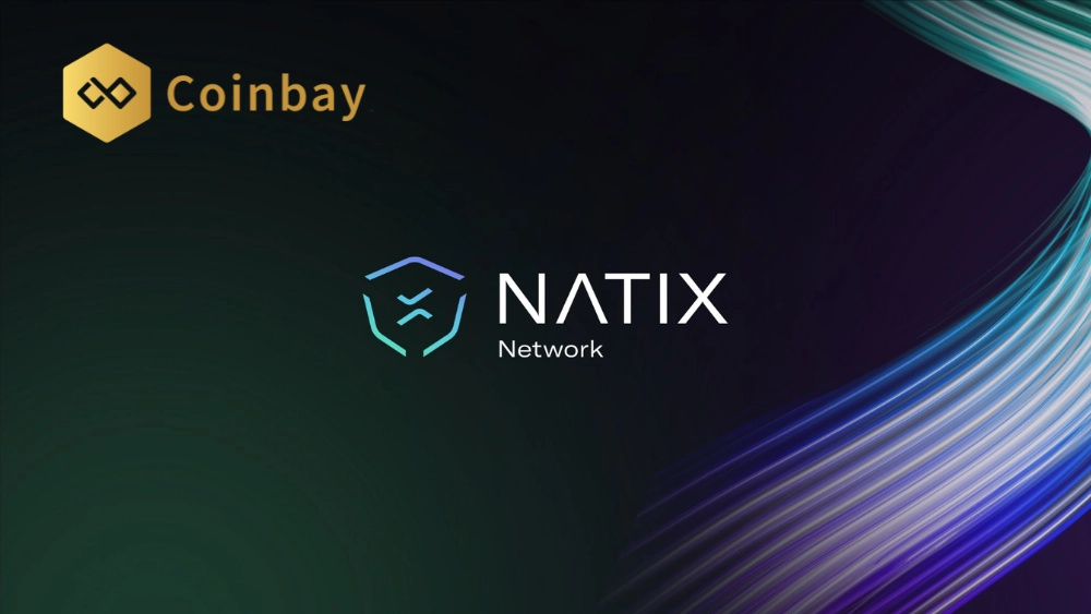 What is NATIX token? DePIN NATIX Network
