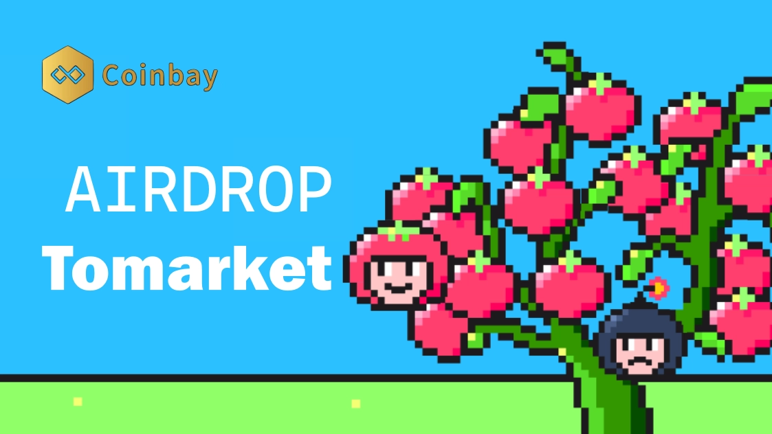 Guide to hunting TOMA airdrop