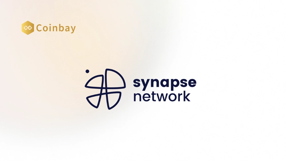 What is ZKSNP token? Synapse Network launchpad platform