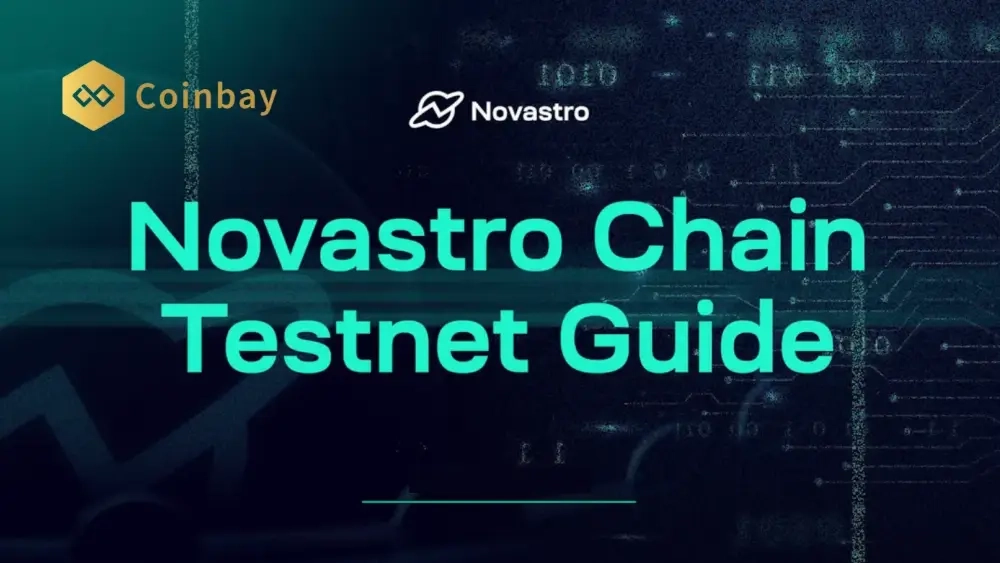 Guide to participating in Novastro testnet