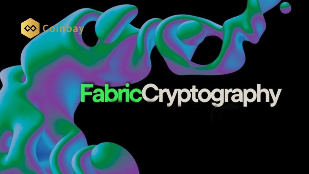 What is Fabric Cryptography? A blockchain cryptography chip startup