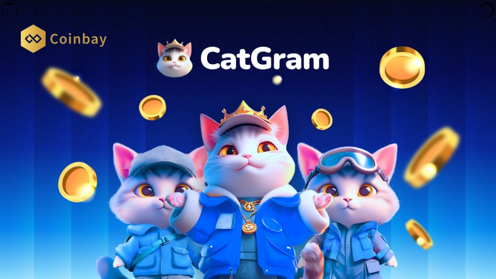 Guide to hunting airdrops for the CatGram