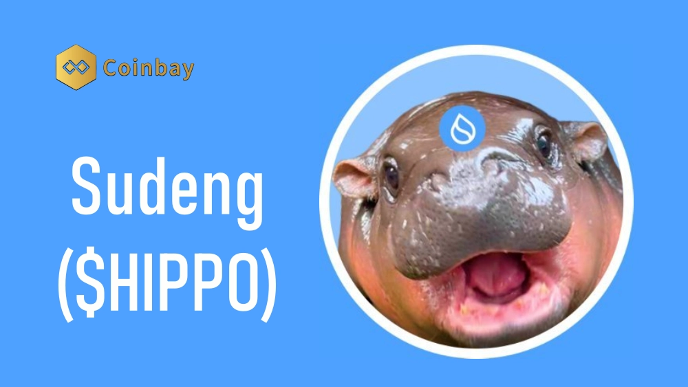 What is HIPPO token? Memecoin on Sui outperforming Sudeng