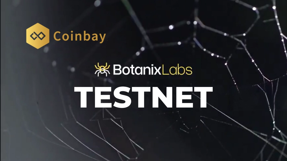 Guide to joining Botanix testnet