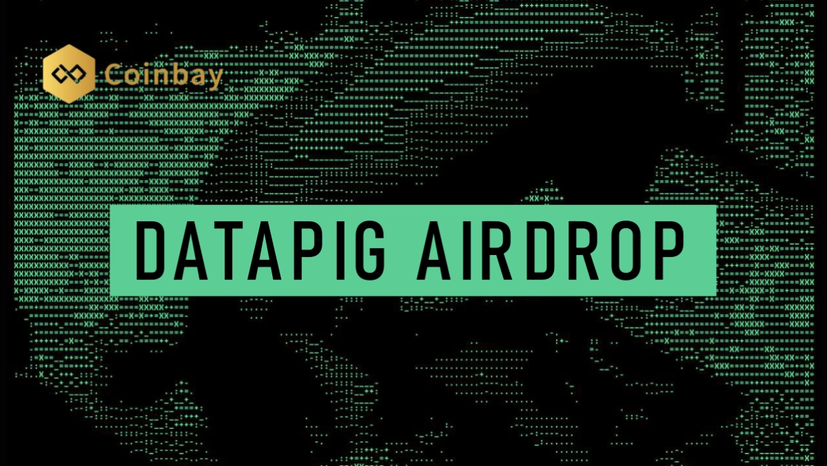 Instructions for DataPig airdrop hunting