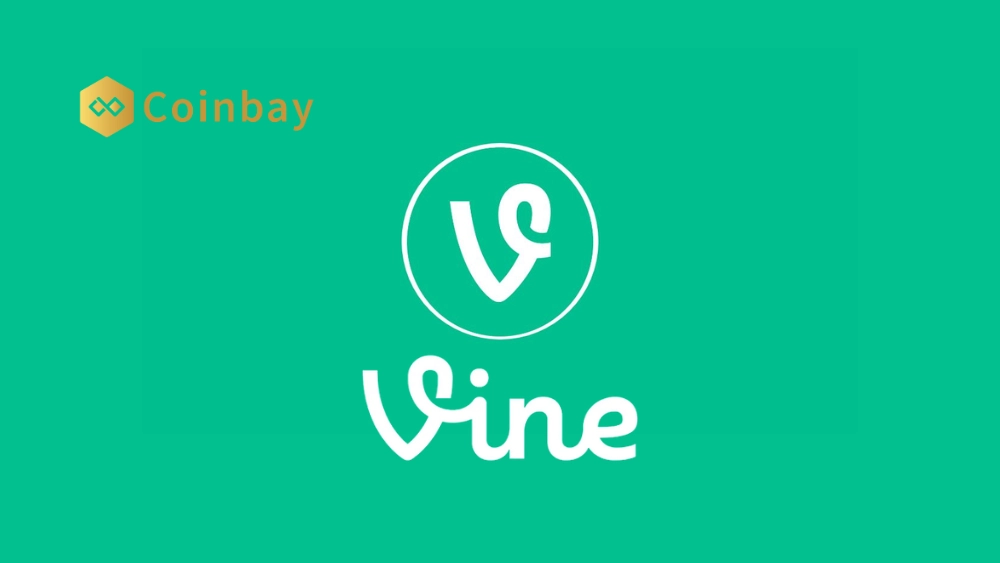 What is VINE token? The Solana-based memecoin of Vine app