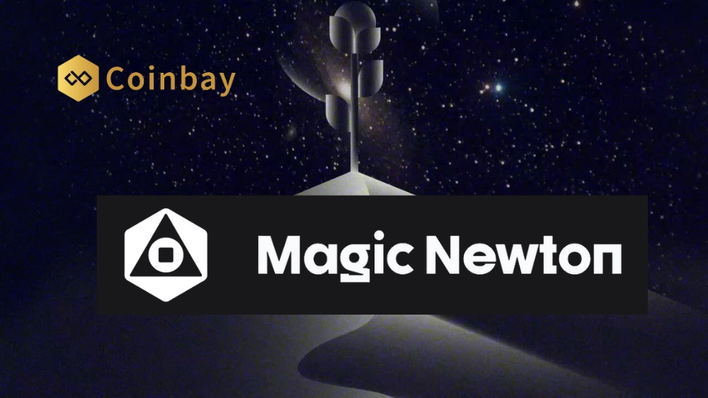 Guide to participating in Magic Newton testnet