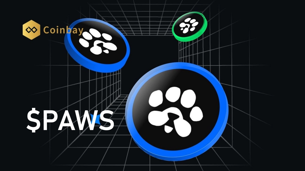 Detailed PAWS token price prediction: Breakthrough or just a 'bubble'?