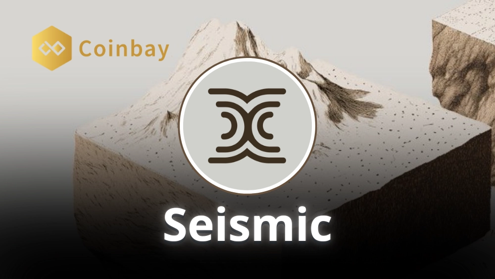Guide to hunting Seismic airdrop