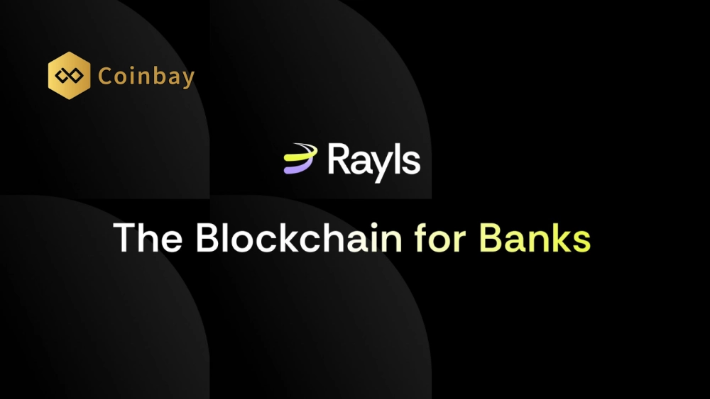 Guide to claiming the Rayls airdrop
