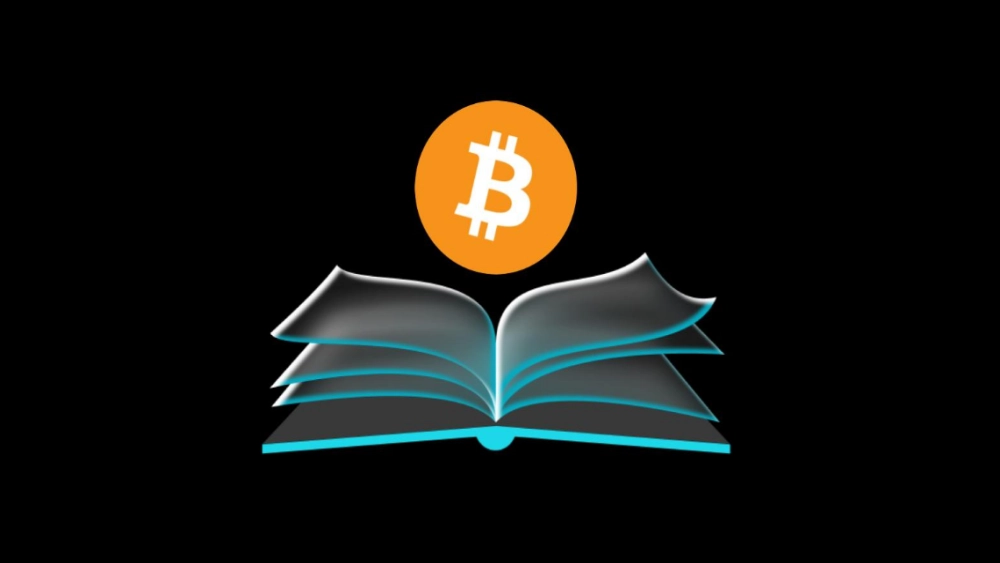 The journey of Bitcoin: From Satoshi's vision to a multi-billion-dollar ...
